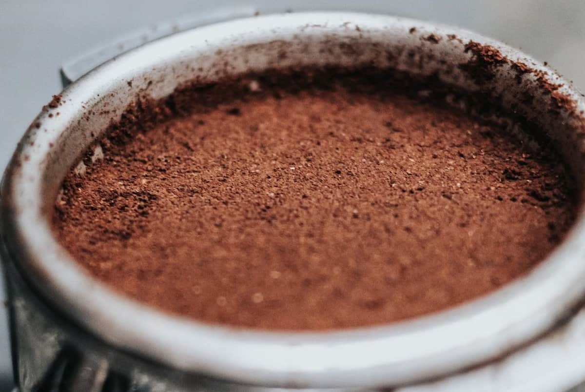 Do Fiddle Leaf Figs Like Coffee Grounds? (Benefits & Risks ...