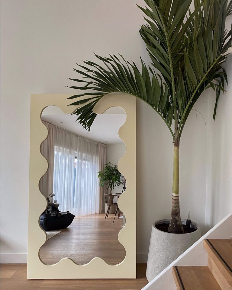 Are Palm Plants Toxic To Cats? (21 Types Of Palm) | Houseplant Alley