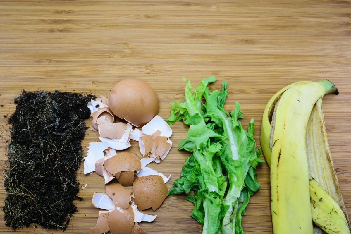 Easy Homemade Fertilizers for Happy Houseplants | Houseplant Alley