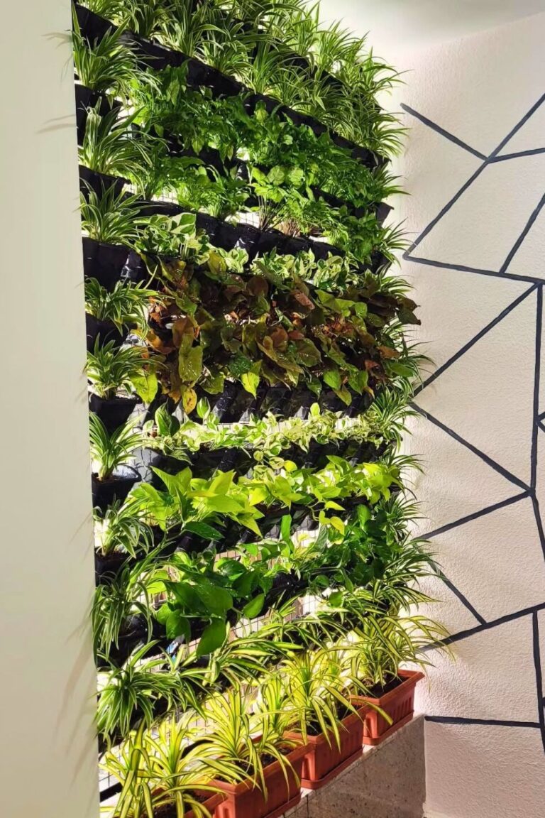 65 Creative Wall Plant Decor Ideas that Inspire | Houseplant Alley