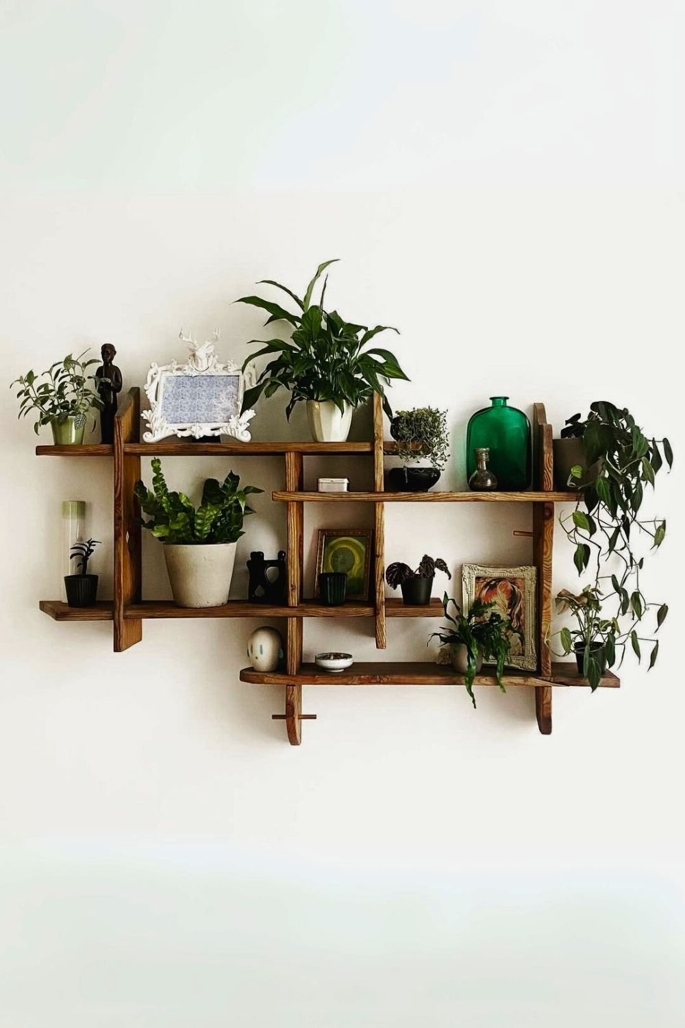 Living Green: The Best Wall Plants to Transform Your Indoor Spaces ...