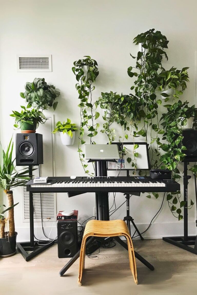 60 Creative Ideas to Decorate Your Home with Money Plants | Houseplant ...