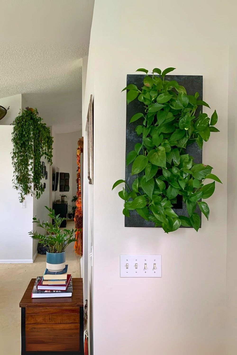 60 Creative Ideas to Decorate Your Home with Money Plants | Houseplant ...