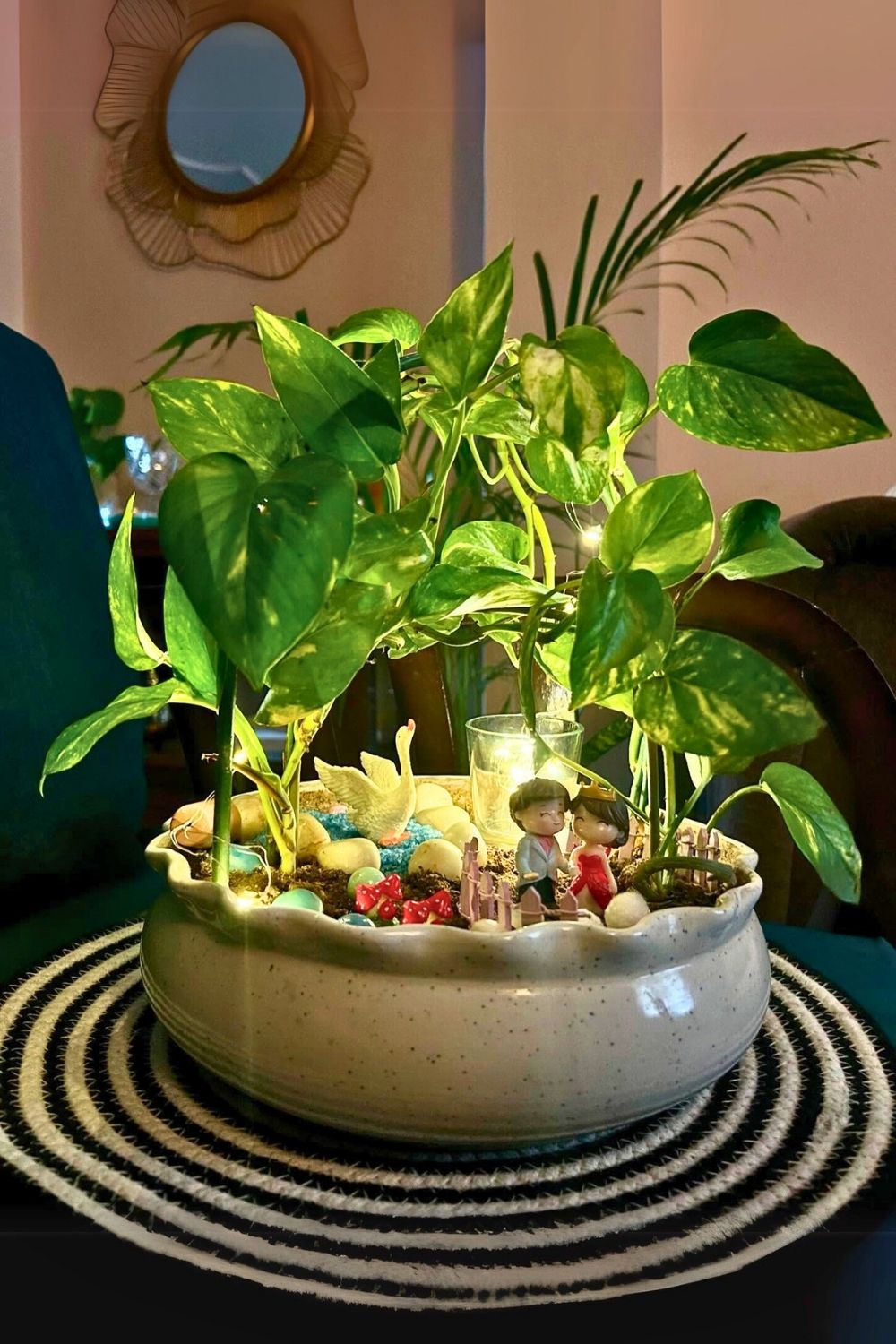 60 Creative Ideas to Decorate Your Home with Money Plants | Houseplant ...