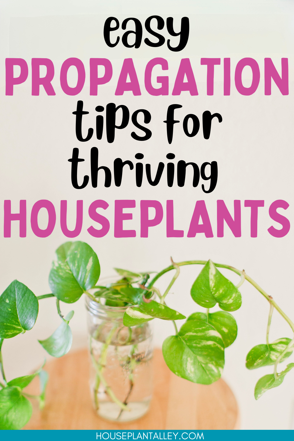 8 Genius Houseplant Propagation Techniques You Should Know About ...