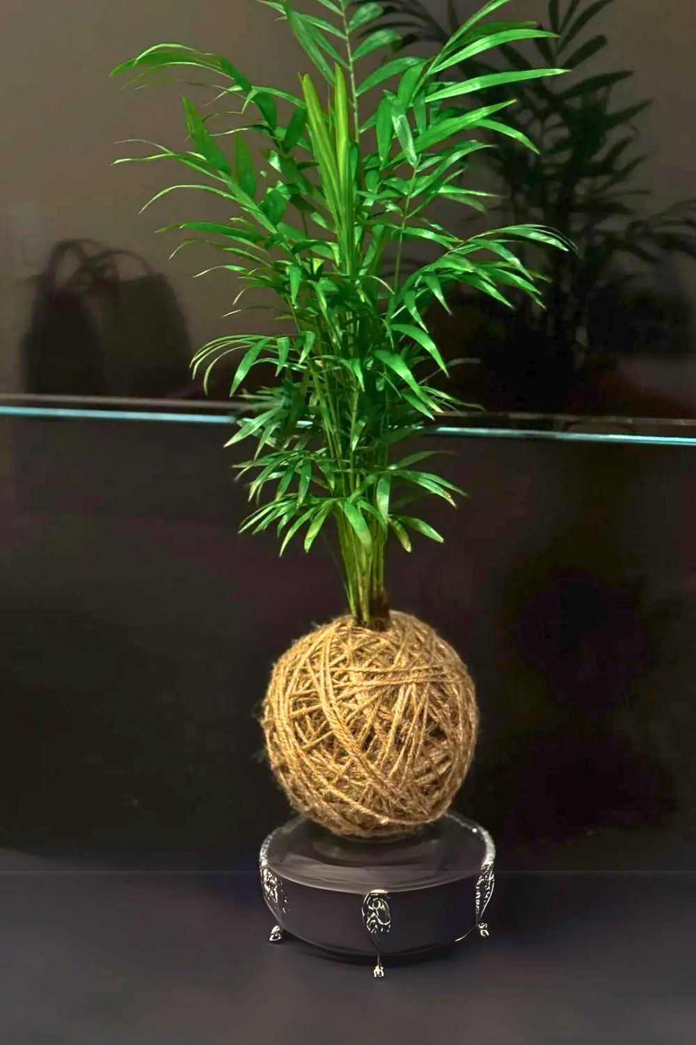 DIY Houseplant Projects: Transform Your Space with Easy and Fun Plant ...