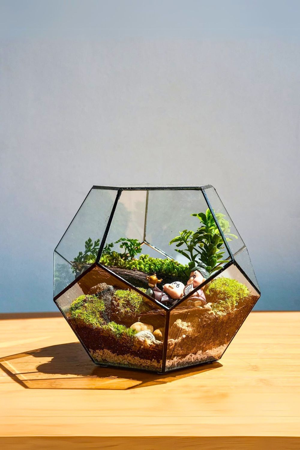 DIY Houseplant Projects: Transform Your Space with Easy and Fun Plant Ideas | Houseplant Alley