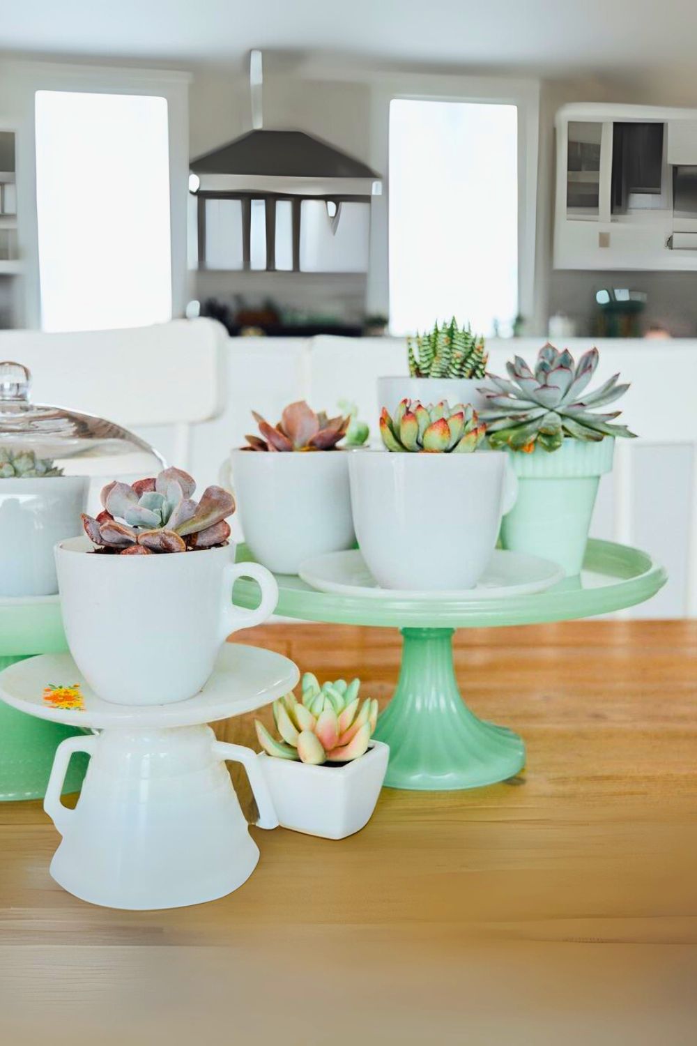 DIY Houseplant Projects: Transform Your Space with Easy and Fun Plant ...