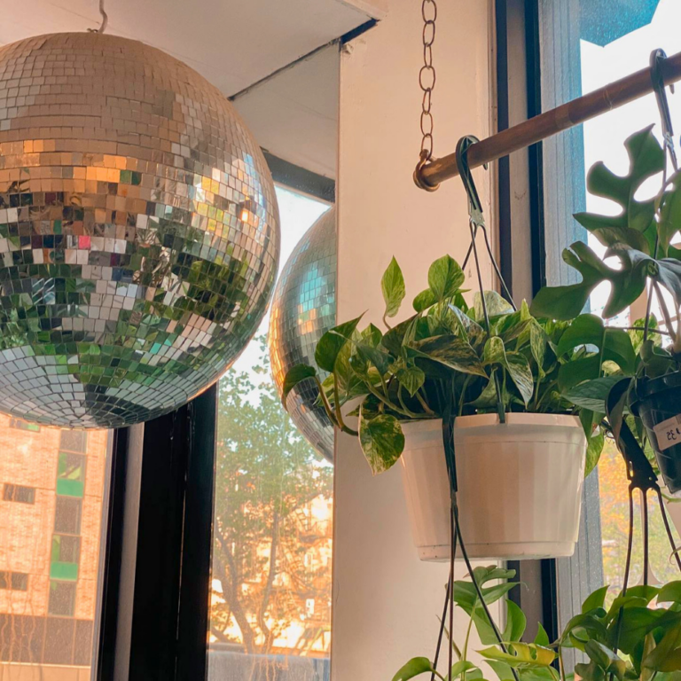 How To Transform Your Window Into a Lush Indoor Garden | Houseplant Alley