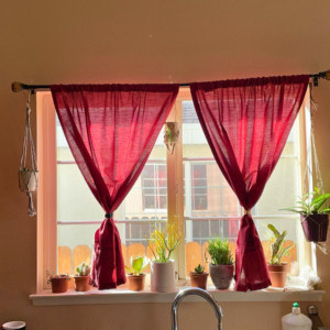 How To Transform Your Window Into a Lush Indoor Garden | Houseplant Alley
