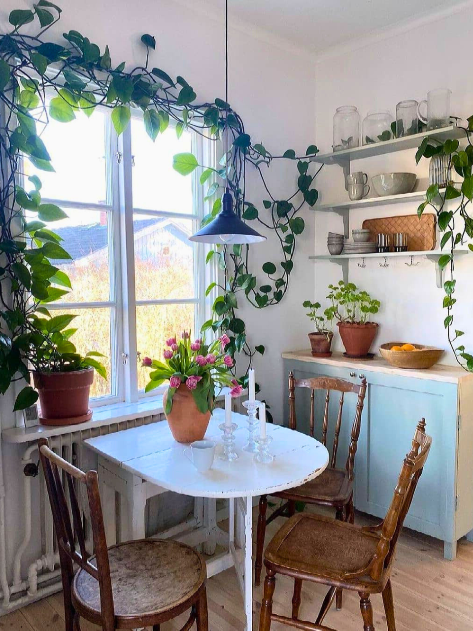 How To Transform Your Window Into a Lush Indoor Garden | Houseplant Alley
