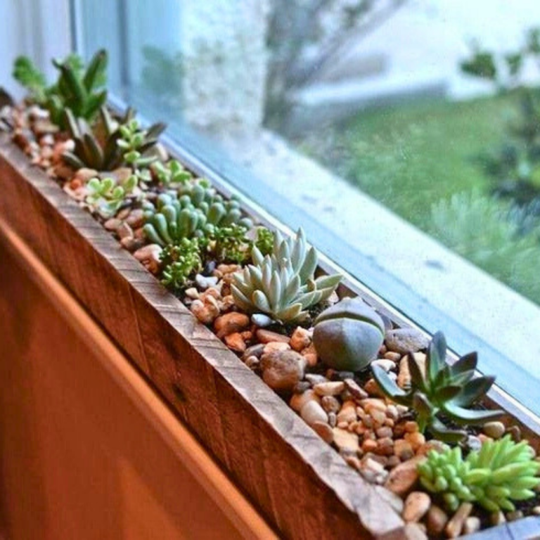 How To Transform Your Window Into a Lush Indoor Garden | Houseplant Alley