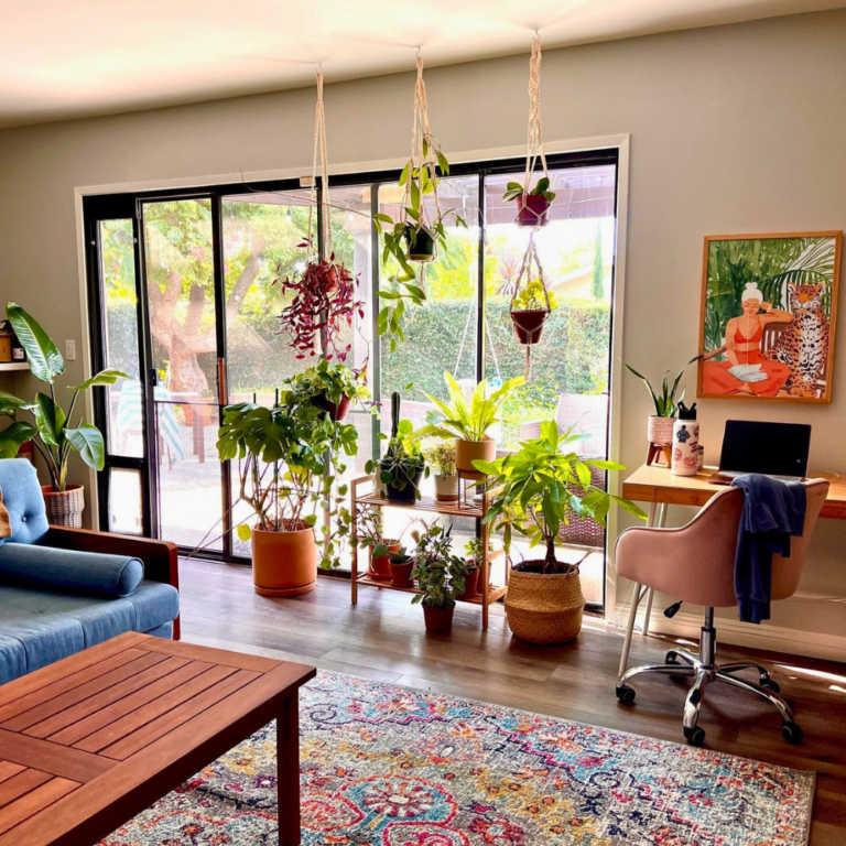 How To Transform Your Window Into a Lush Indoor Garden | Houseplant Alley