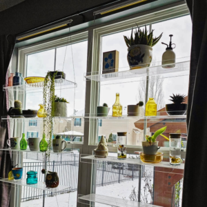 How To Transform Your Window Into a Lush Indoor Garden | Houseplant Alley