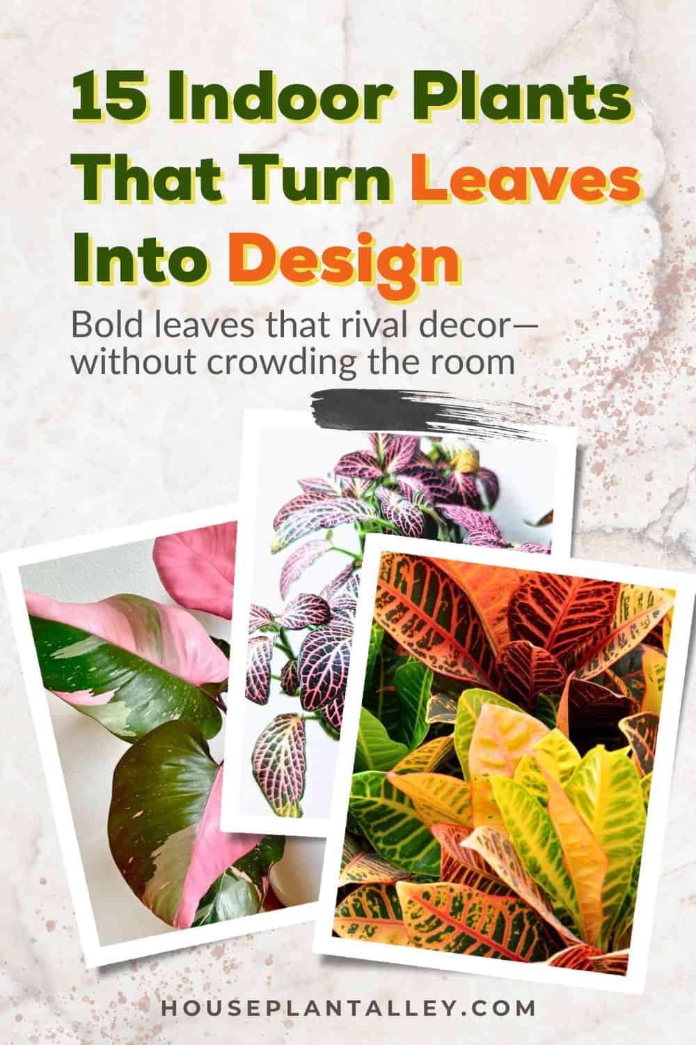 15 Houseplants With Beautiful Variegated Leaves | Houseplant Alley
