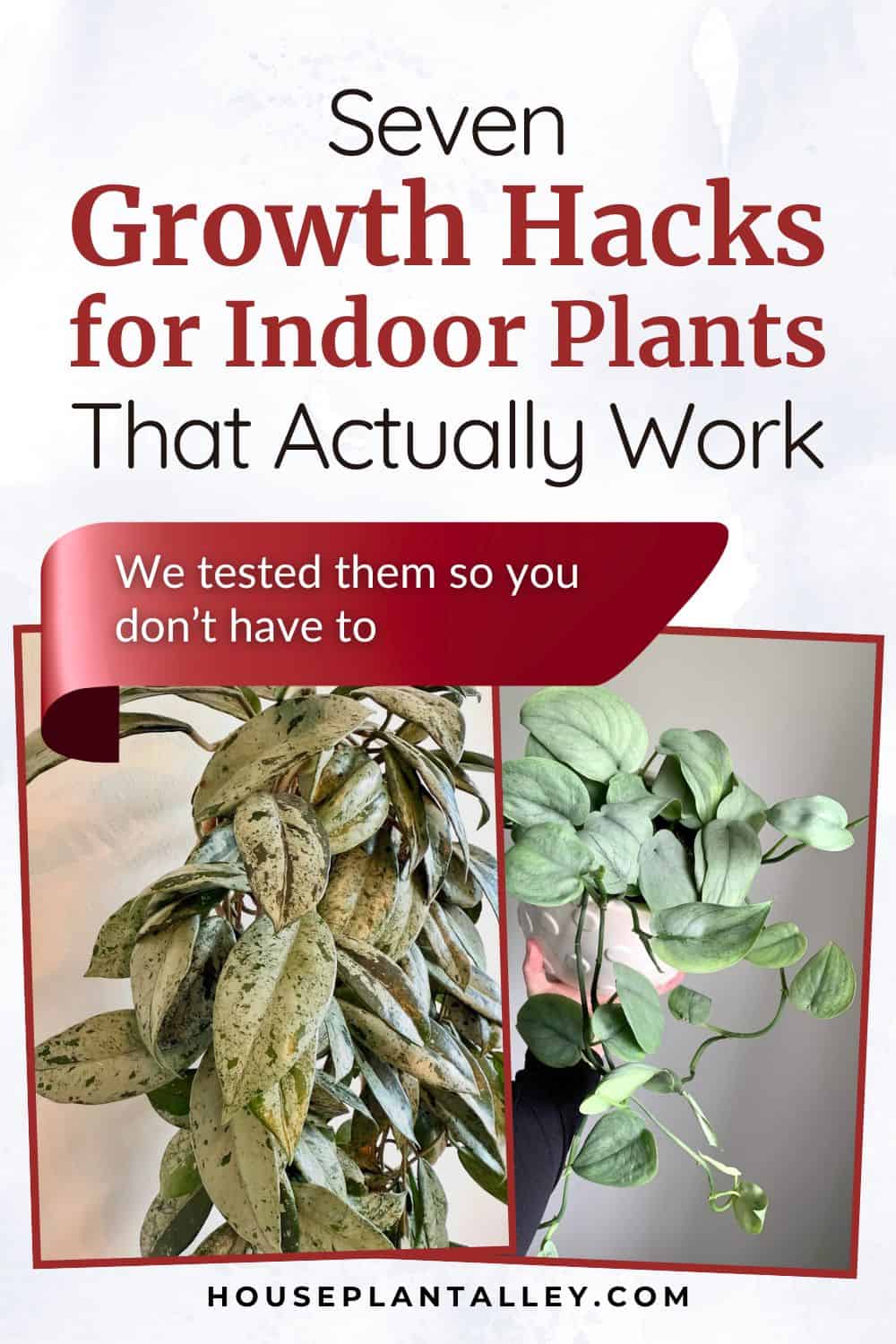 7 Ways How To Make Indoor Plants Grow Faster | Houseplant Alley