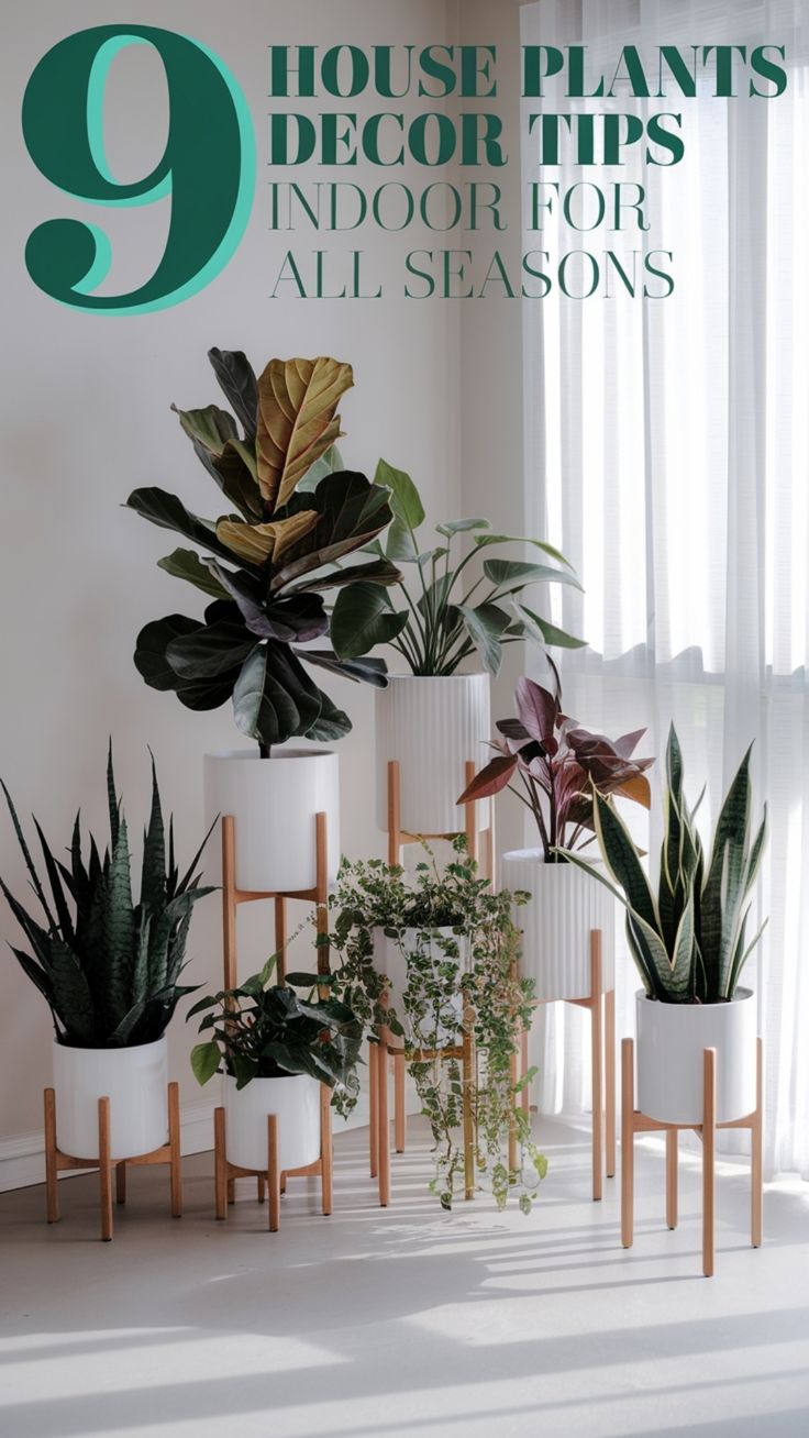 9 House Plants Decor Indoor Tips for All Seasons | Houseplant Alley
