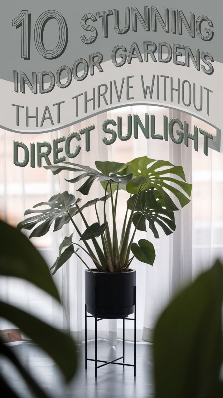 10 Low Light Closed Terrarium Ideas for Sustainable Gardening ...