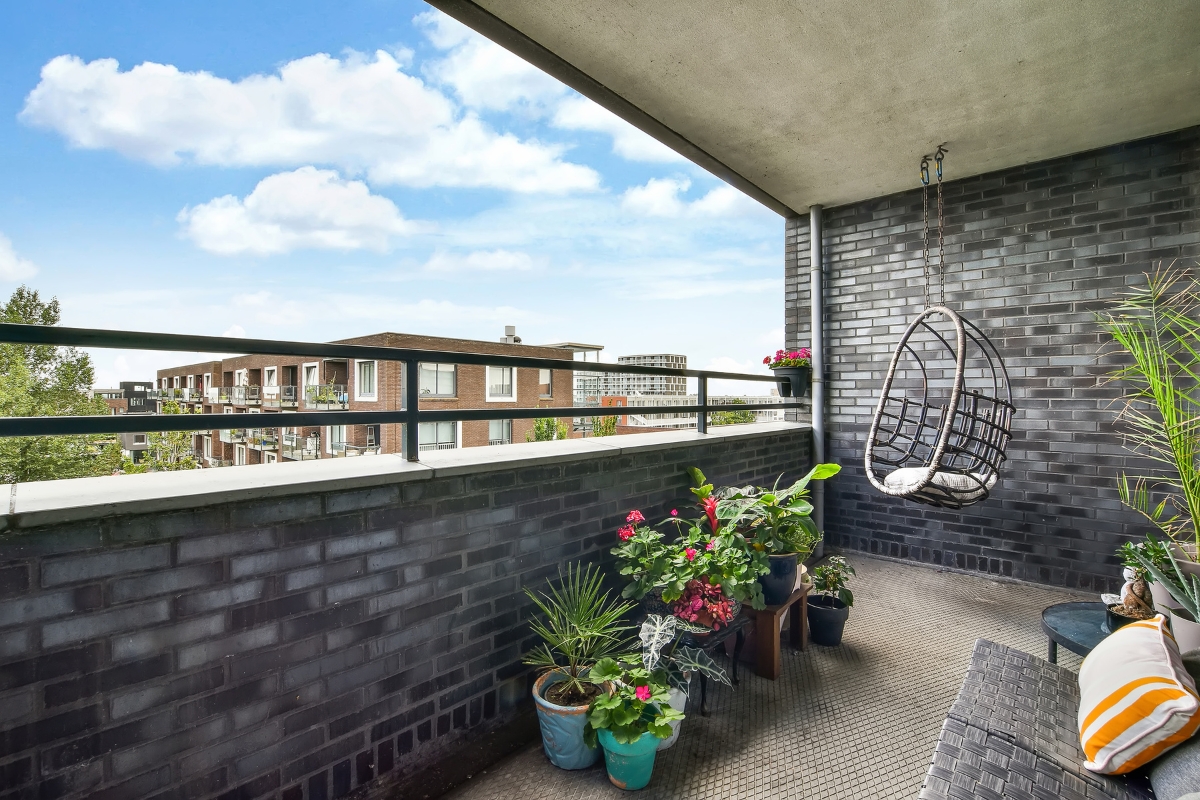 10 Pet-Safe Plants for a Balcony Oasis Your Furry Friends Will Love ...