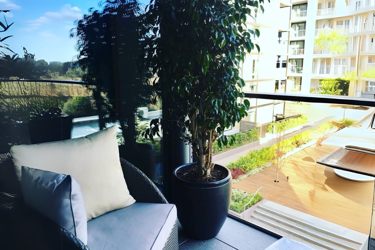 10 Small-Space Balcony Tree Ideas on a Budget | Houseplant Alley