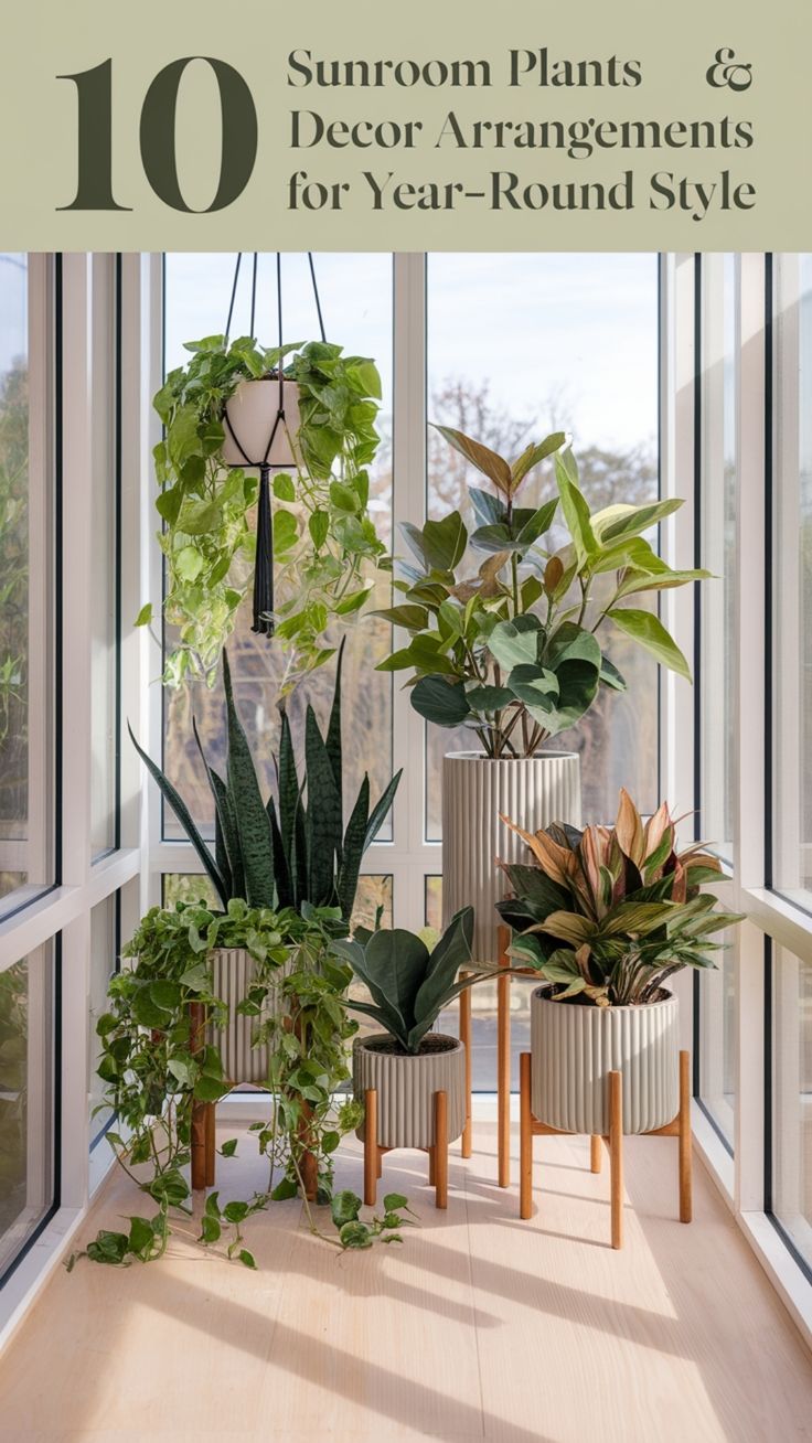 10 Sunroom Plants Decor Arrangements for Year-Round Style | Houseplant ...