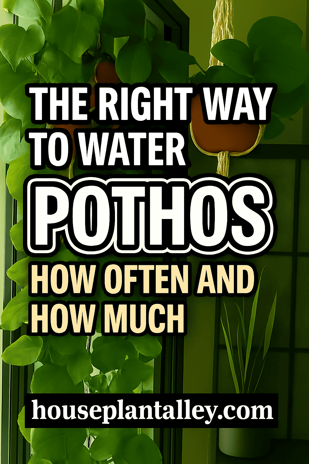 Mastering Pothos: Watering Secrets Revealed | Houseplant Alley
