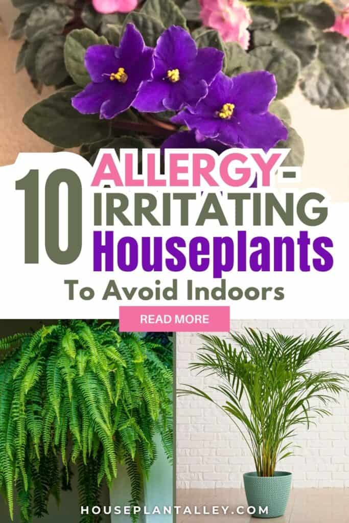 10 Worst Indoor Plants For Allergies | Houseplant Alley