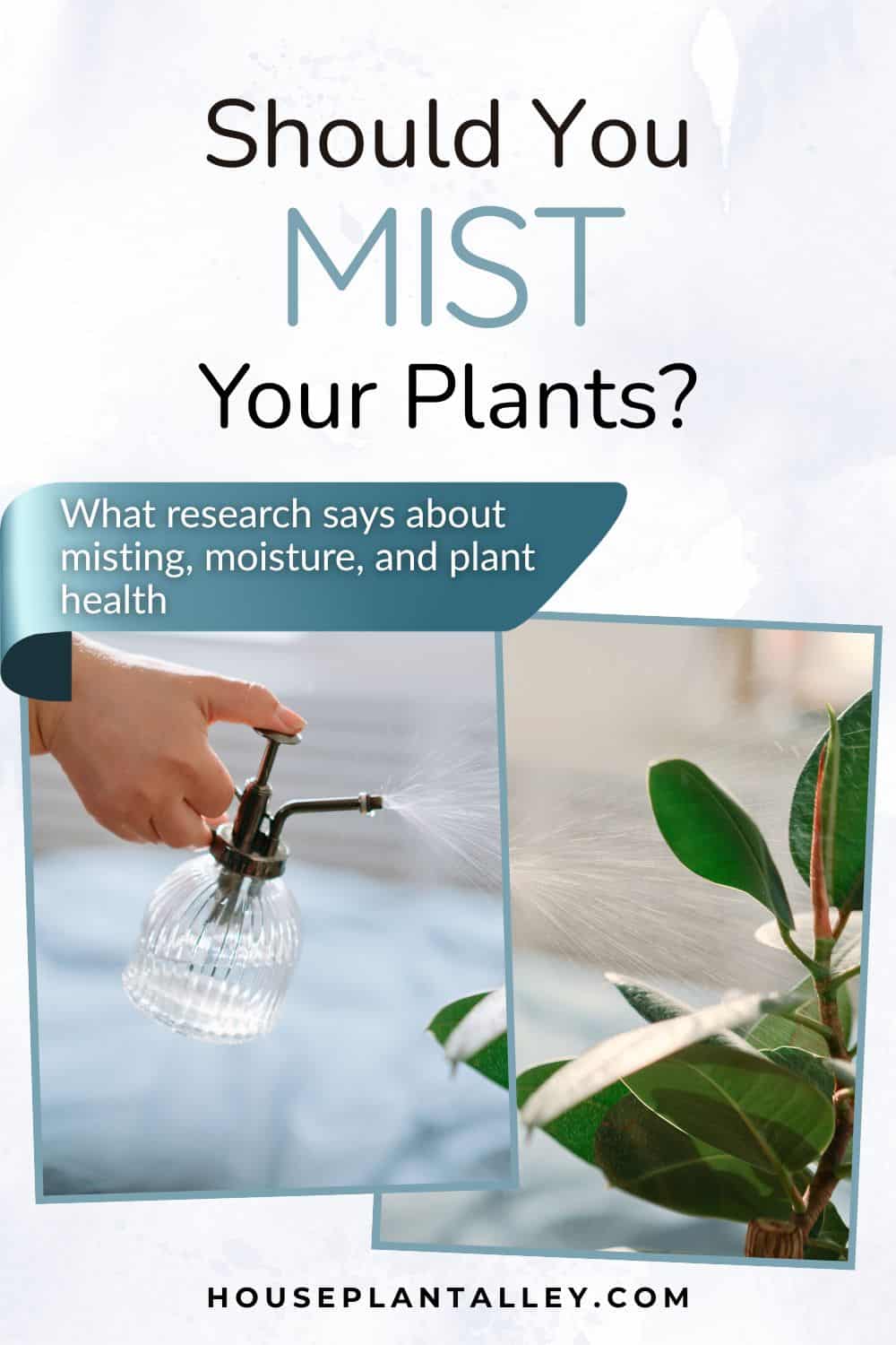 Misting Plants: What Science Says About Moisture and Health ...