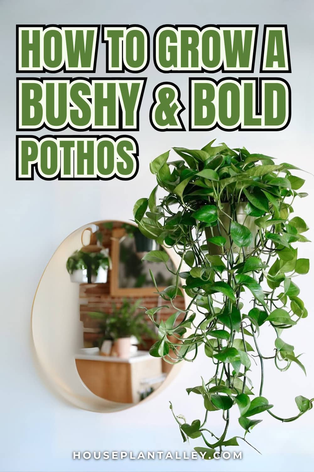 The Ultimate Pothos Guide to Boost Growth and Maintain Vibrant Leaves ...
