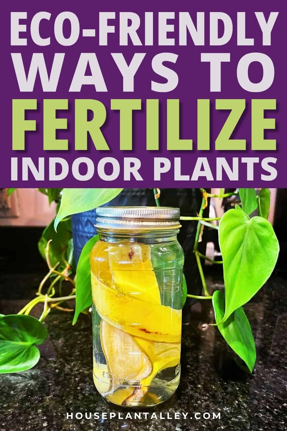 Easy Homemade Fertilizers for Happy Houseplants | Houseplant Alley