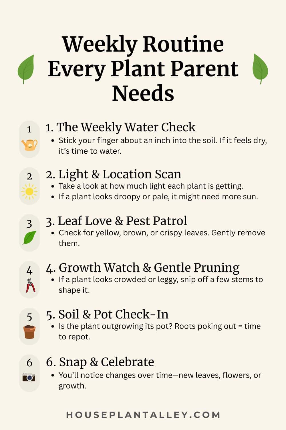 The Chill Plant Parent’s Routine: Weekly Habits That Keep Plants Happy ...